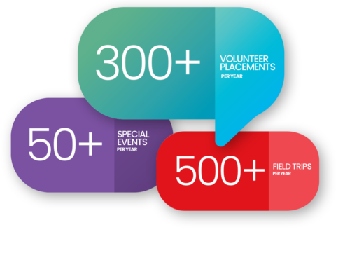 Day programs for adults with developmental disabilities - Adults in Motion